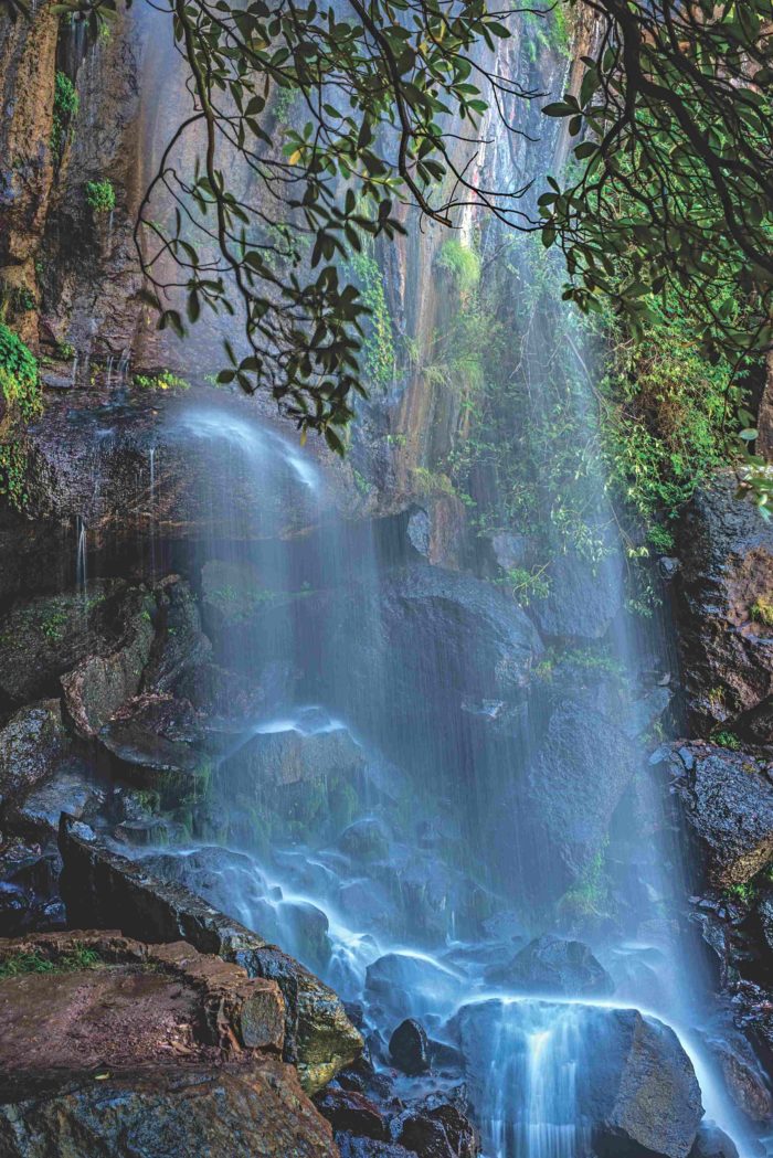 Calvillo | Pueblo Mágico