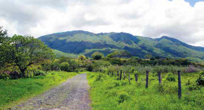 Explora el volcán Ceboruco y admira su fauna | Jala