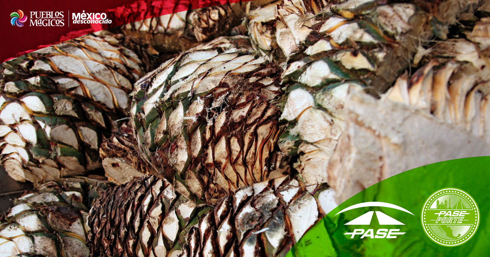 Teúl | Pueblo Mágico